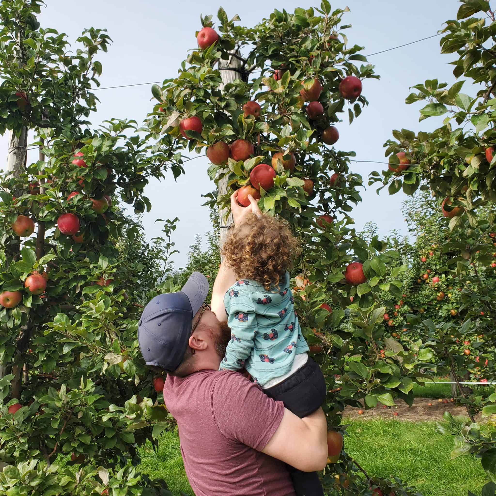 Ultimate Free Adventures in Fall for Families - My Blog
