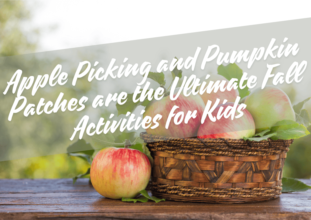 Apple Picking and Pumpkin Patches Are the Ultimate Fall Activities for ...