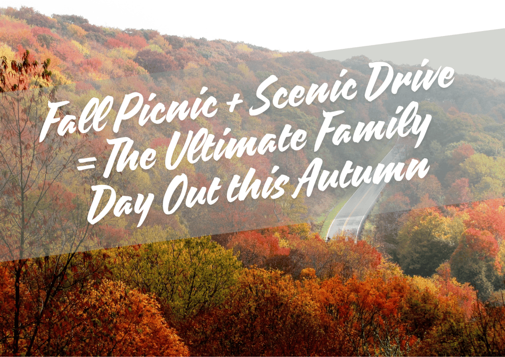 Fall Picnic + Scenic Drive = The Ultimate Family Day Out This Autumn ...